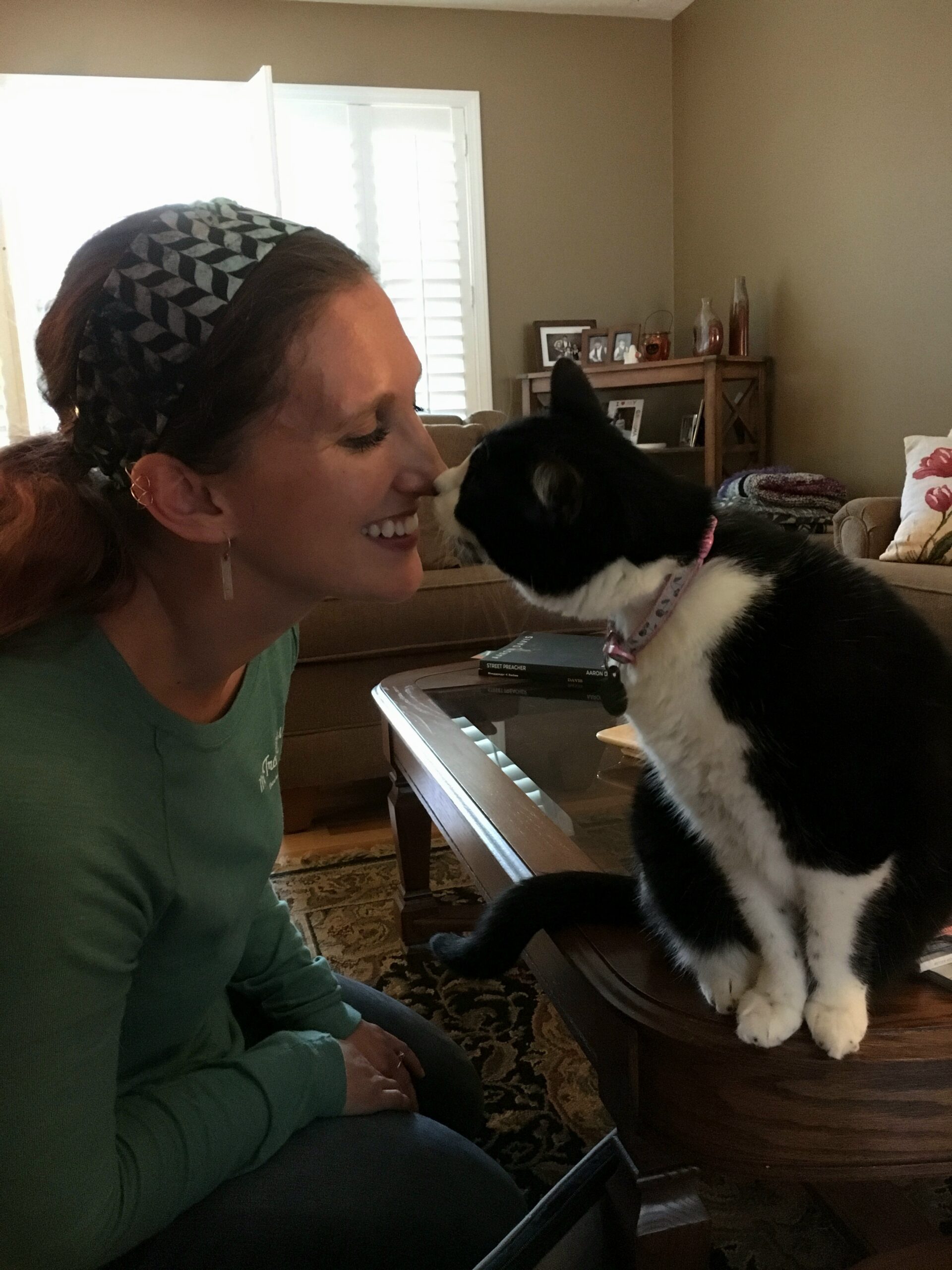 Services – The Traveling Vet
